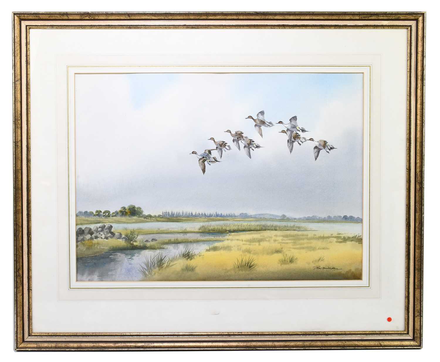 Lot 346 - ROBERT W MILLIKEN; watercolour, 'Pintails