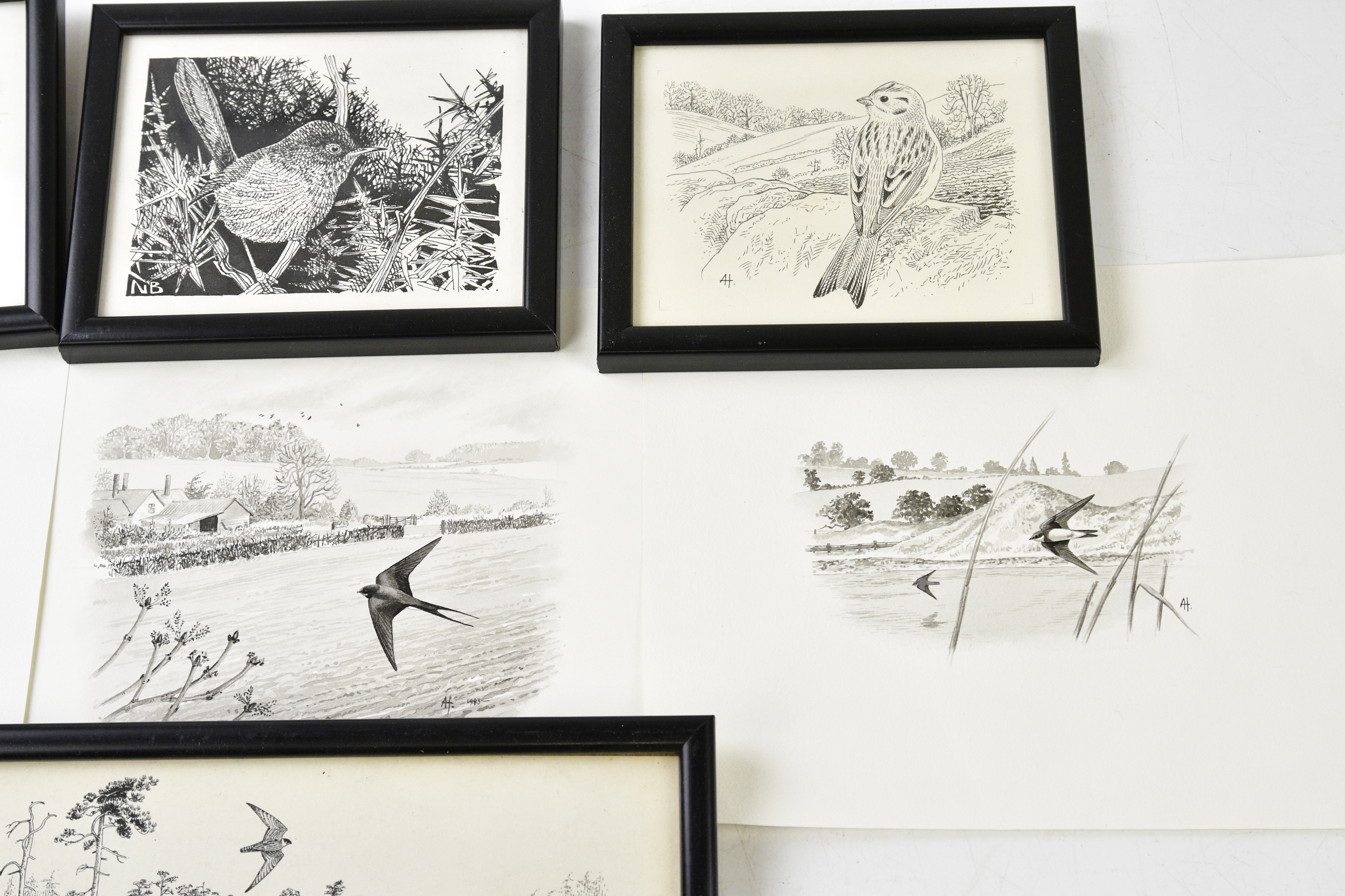 Lot 1476 - ALAN HARRIS (born 1957); seven studies of